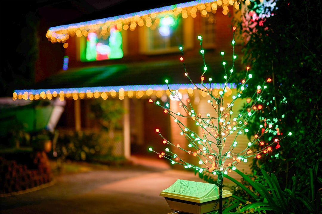 Comprehensive Guide to Outdoor Christmas Lighting: Tips, Trends, and E ...