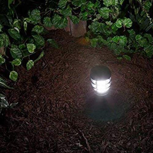 Makergroup LED Light Bulbs, Wedge Base, 12VAC/DC, 1W, Cool White, 6 Co ...
