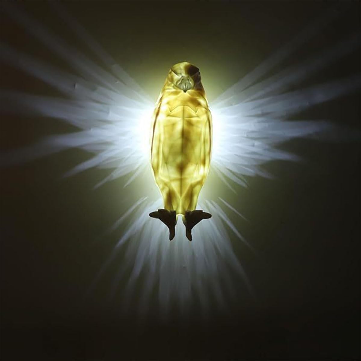 Bald Eagle Wall Light, 3D Animal Led Wall Light, Wall Light Owl,3D Pri ...