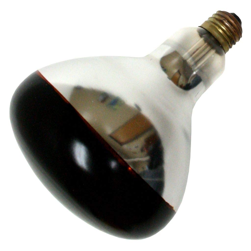 Satco S4884 120V 250 Watt R40 Medium Base Shatterproof Heat Lamp, Red ...