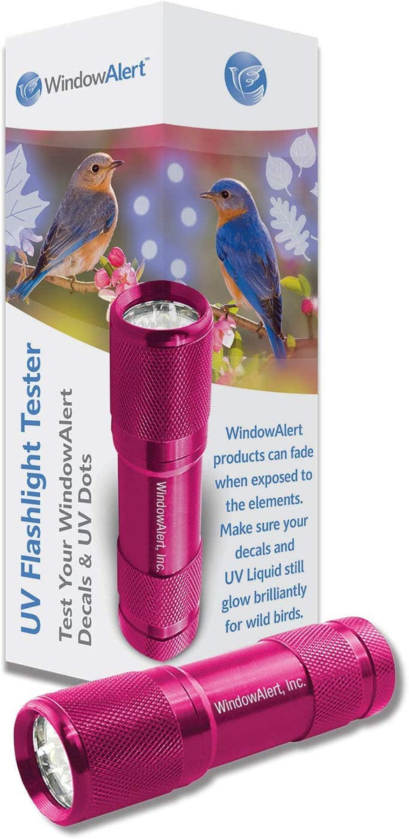 Windowalert Uv Flashlight Tester - 395 Nanometer Led Uv Black Light Fl ...