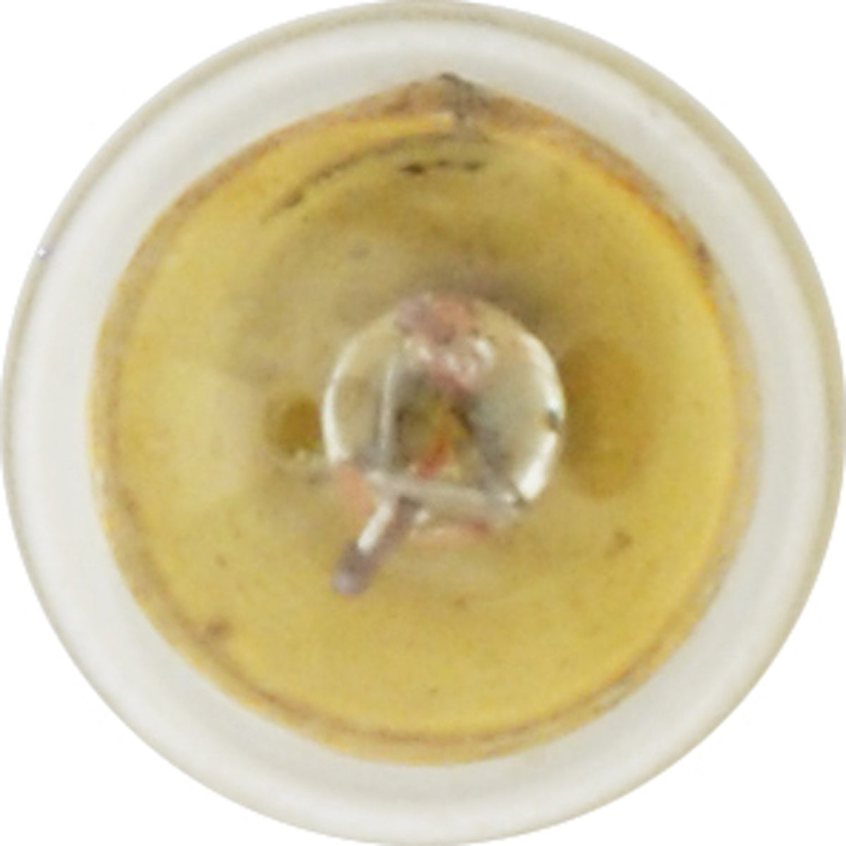 SYLVANIA 1445 Miniature Bulb - 10 Pack, Copper Material, Basic Design ...