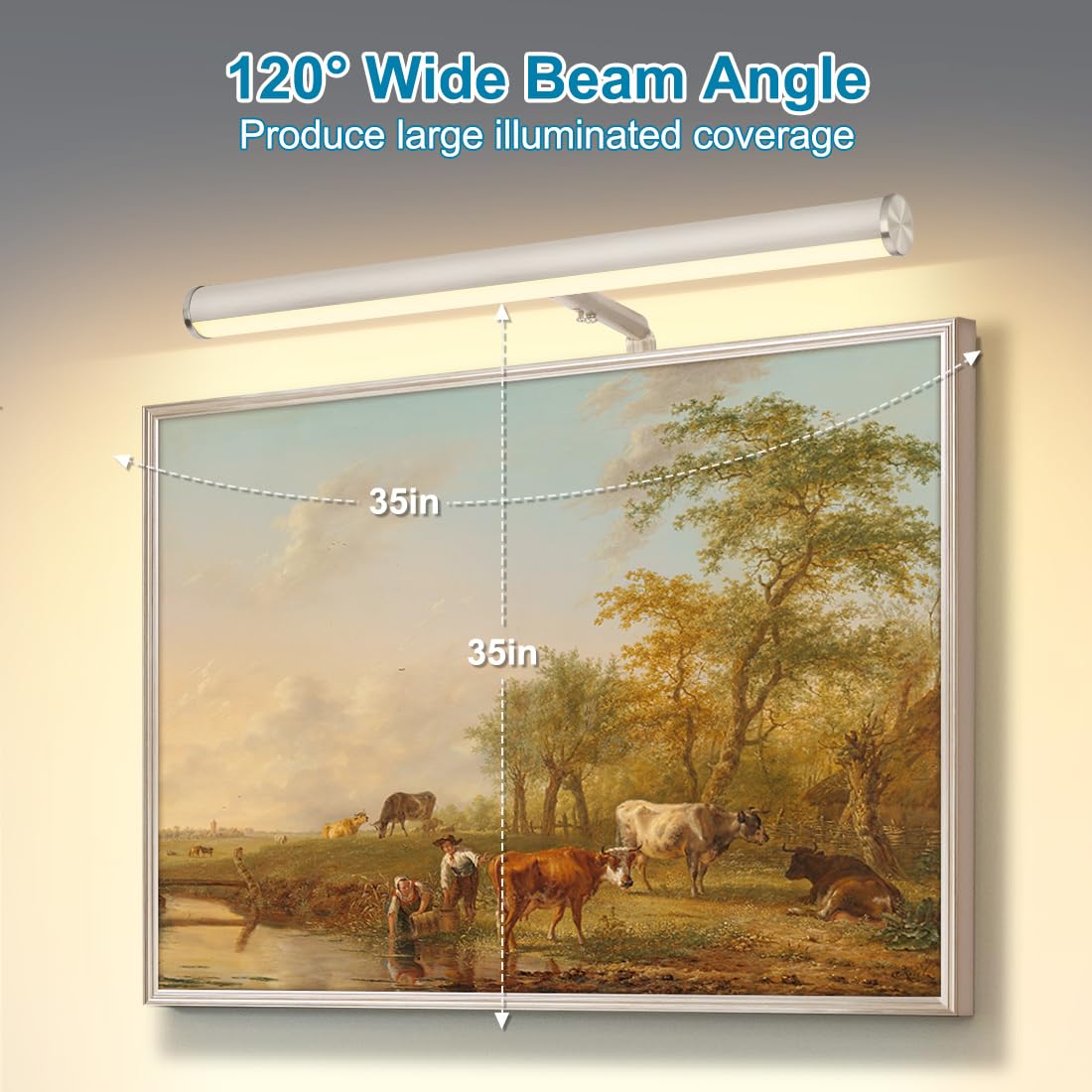 Xbuyee LED Picture Lights for Paintings Plug in, 14 inch 4W Adjustable ...
