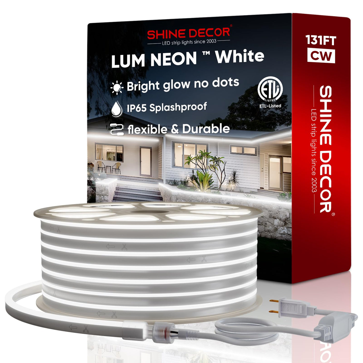 Shine Decor LED Neon Rope Lights - 120V, 6300K Cool White, IP65 Waterp ...