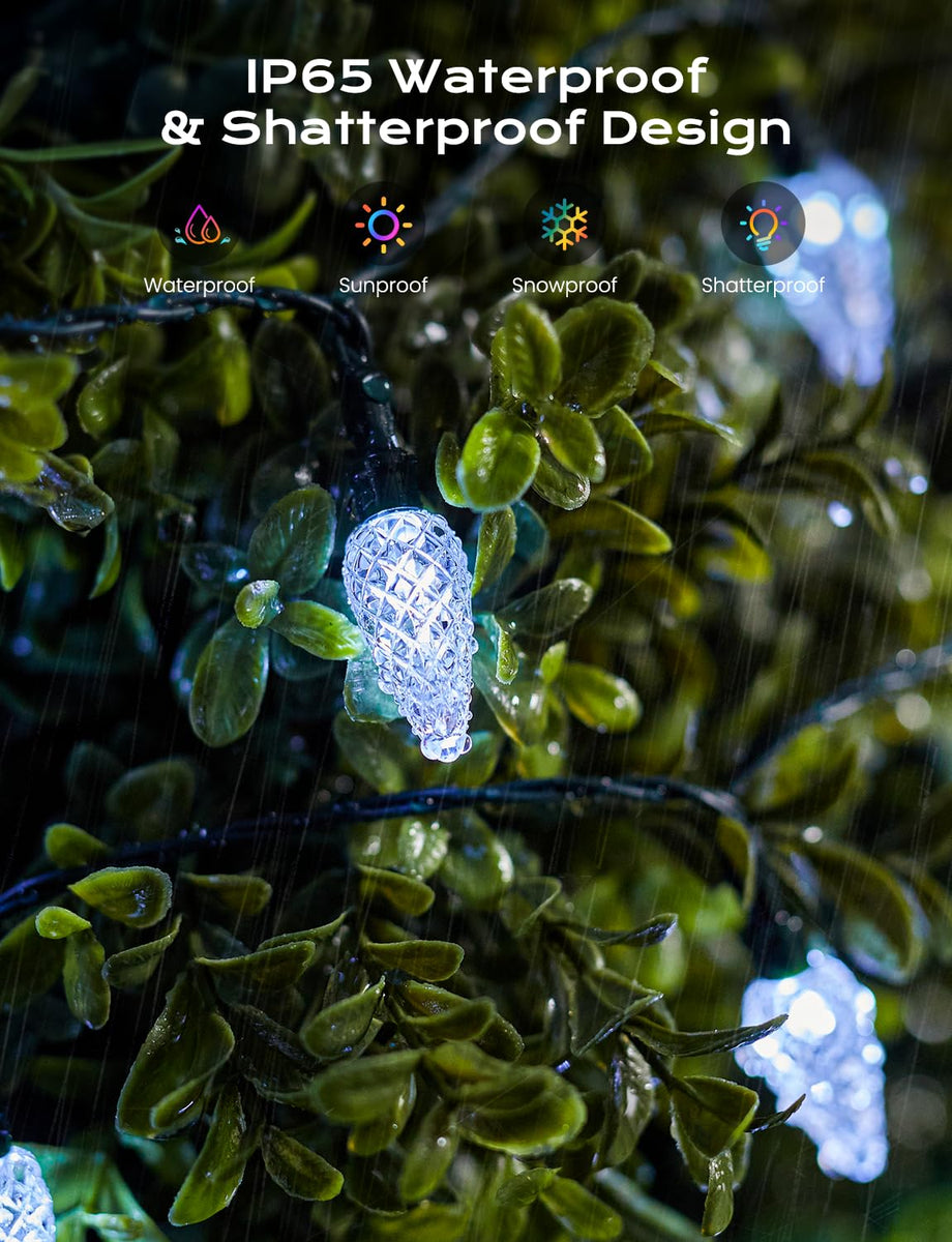 Brightown Solar C6 Strawberry String Lights, 100 LEDs, 39ft, White, PV ...