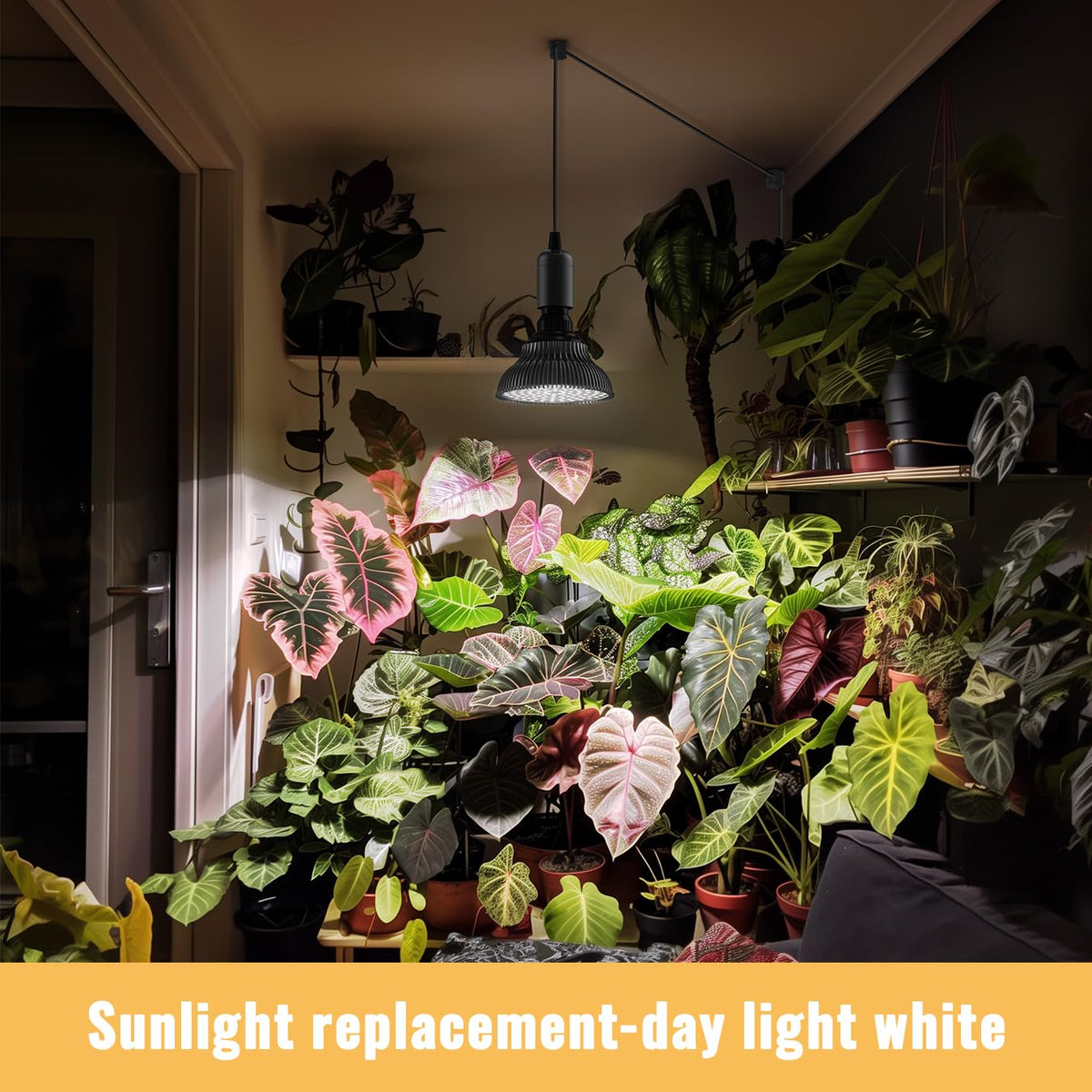 SpeePlant 25W LED Hanging Grow Light, Full Spectrum, Adjustable Height ...