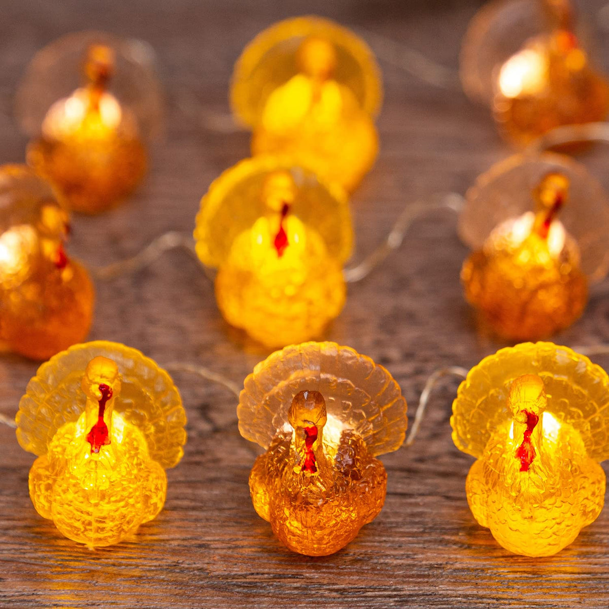 Thanksgiving Turkey String Lights for Fall Harvest Theme, Christmas De ...