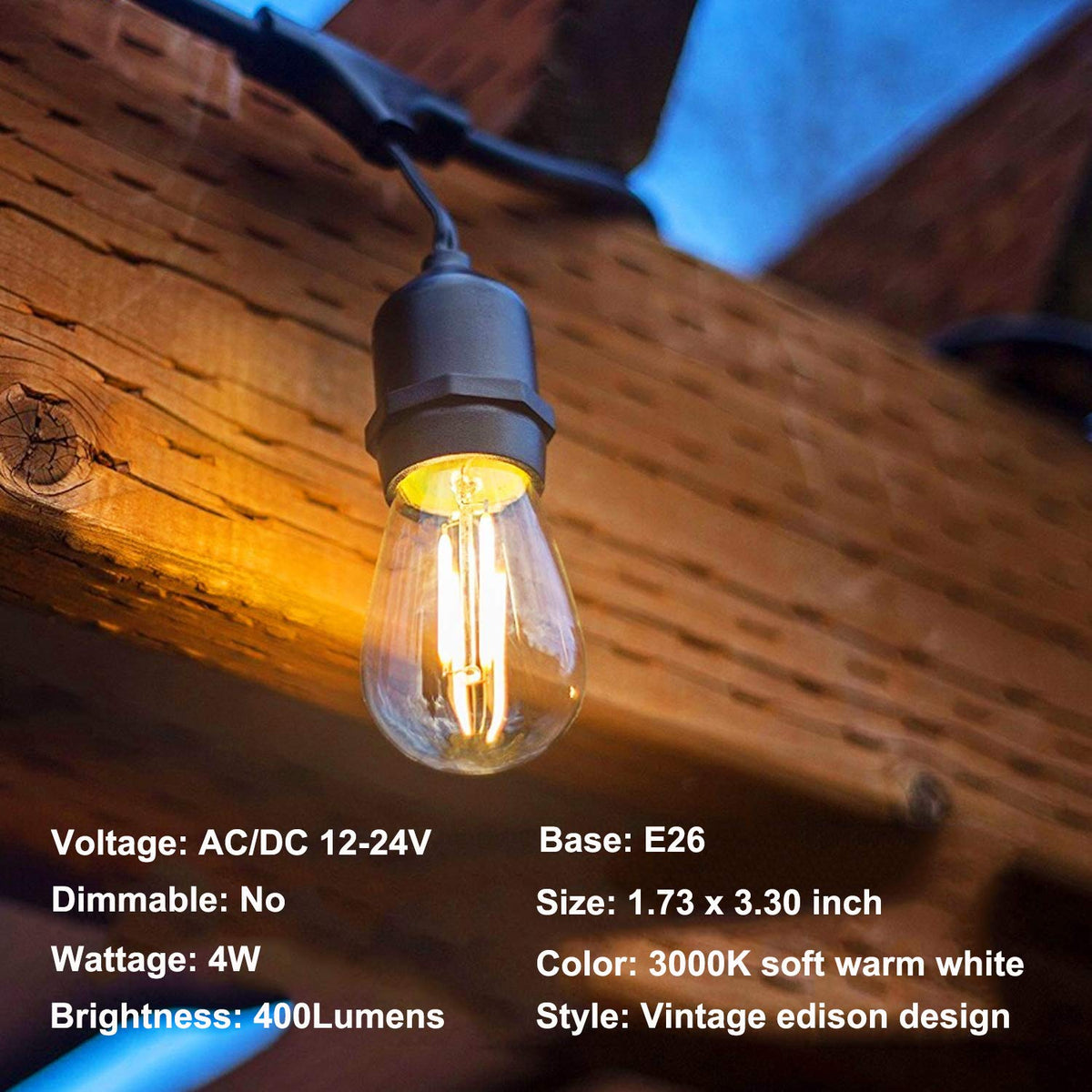 12Volt Led Light Bulb 4W Edison Filament Vintage Ac/Dc12V 24V Low Volt ...
