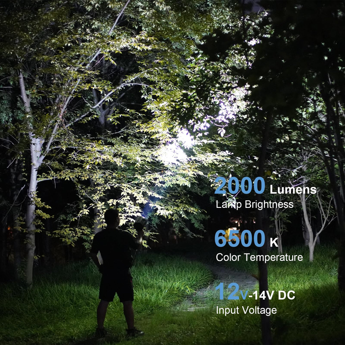 Powerful 2000 Lumen HID Spotlight for Boating & Camping - Goodsmann ...