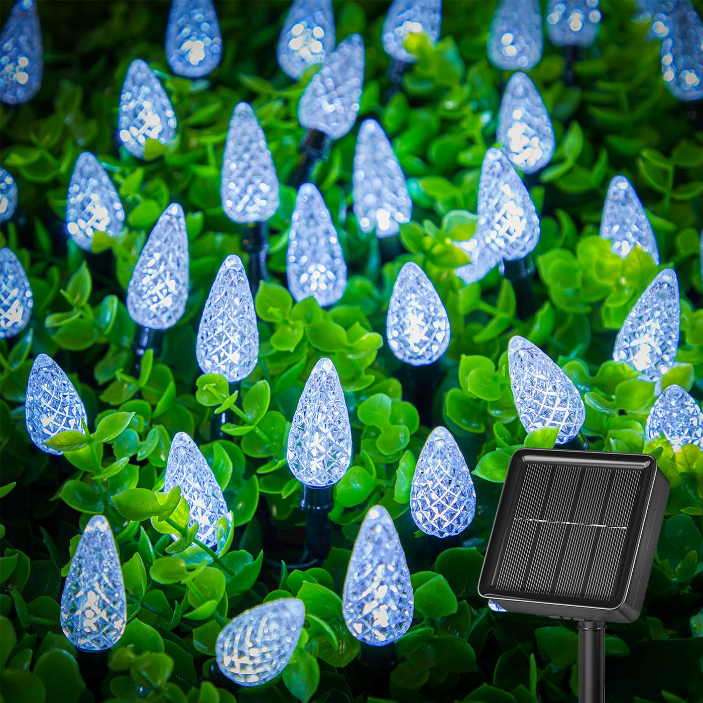 Brightown Solar C6 Strawberry String Lights, 100 LEDs, 39ft, White, PV ...