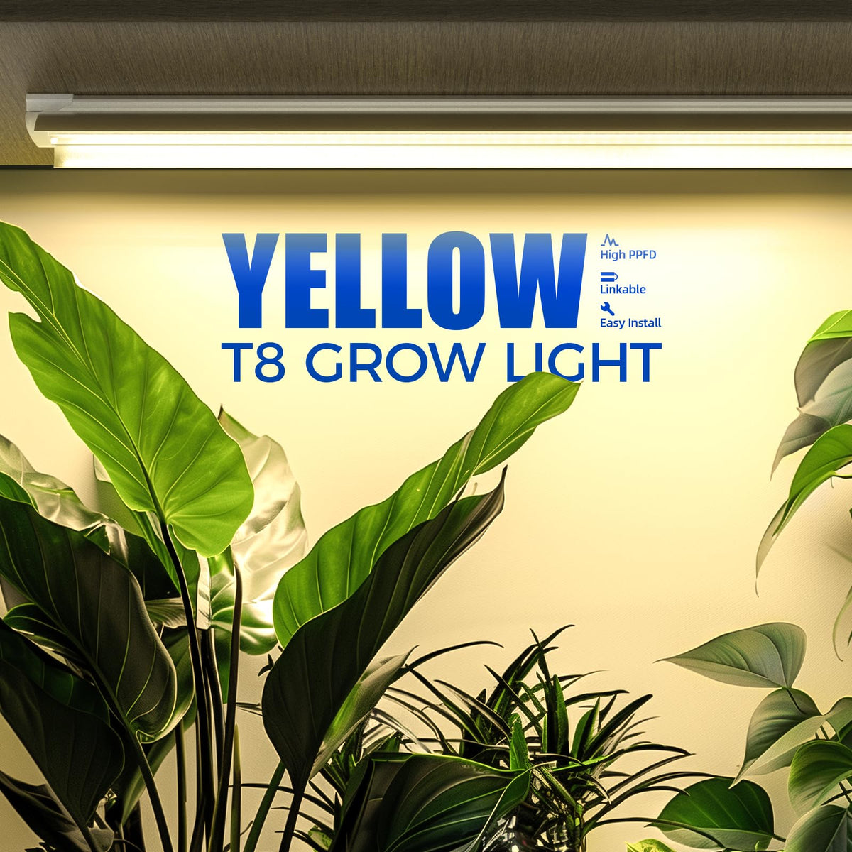 Barrina Full Spectrum Grow Light, 168W(4 X 42W, 1000W Equivalent), Gro ...