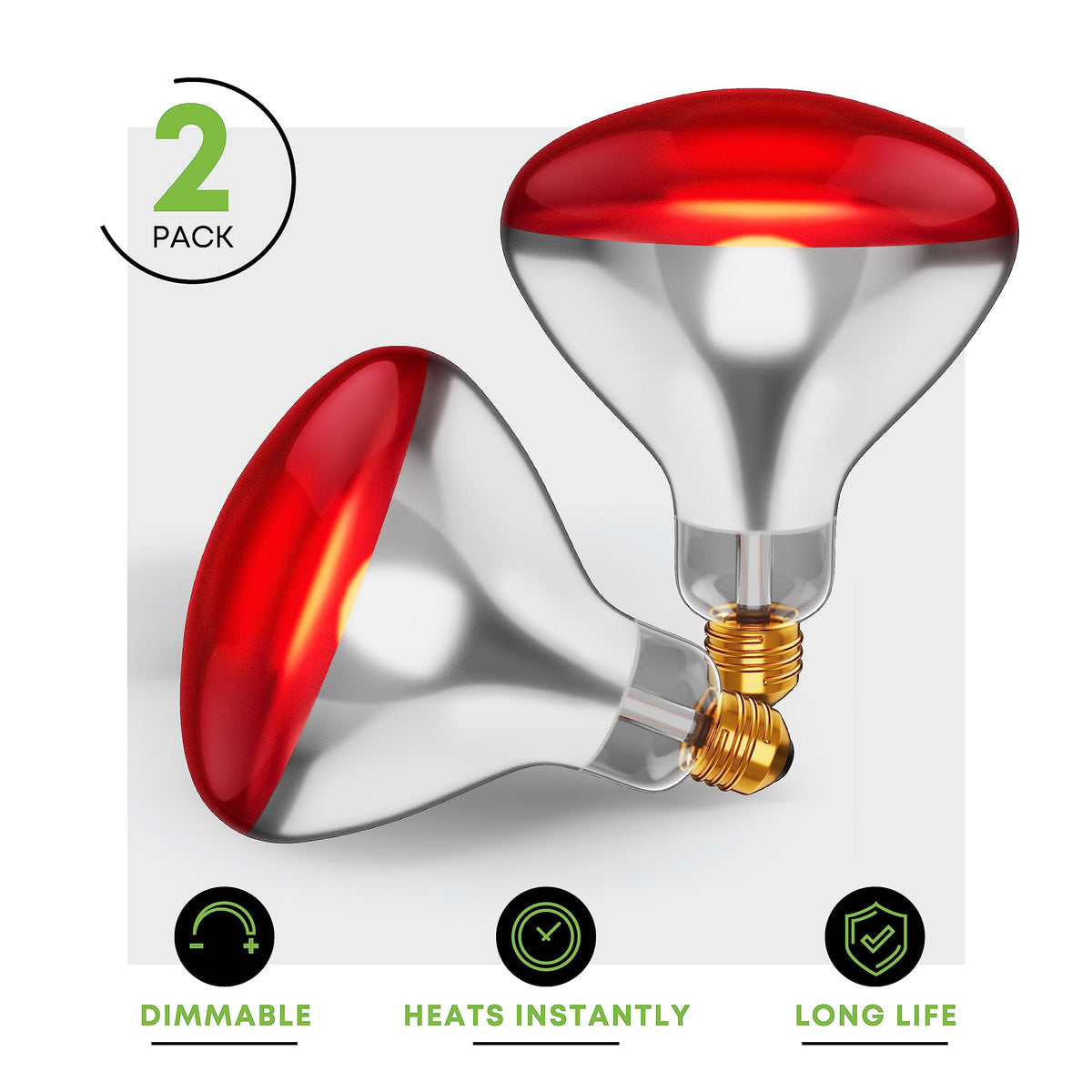 250 W att R40 Incandescent Light Bulbs (2-Pack) - Bathroom Infrared ...