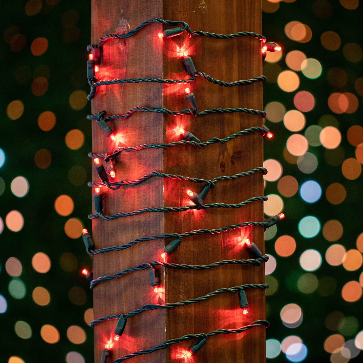 Novelty Lights 25ft Red Christmas String Lights, 50 LED, Brown Wire, D ...